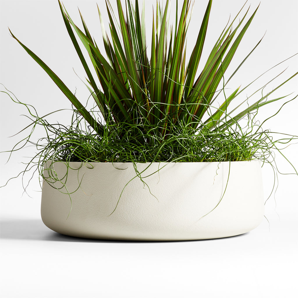 Botanicals & Planters | Crate and Barrel Philippines
