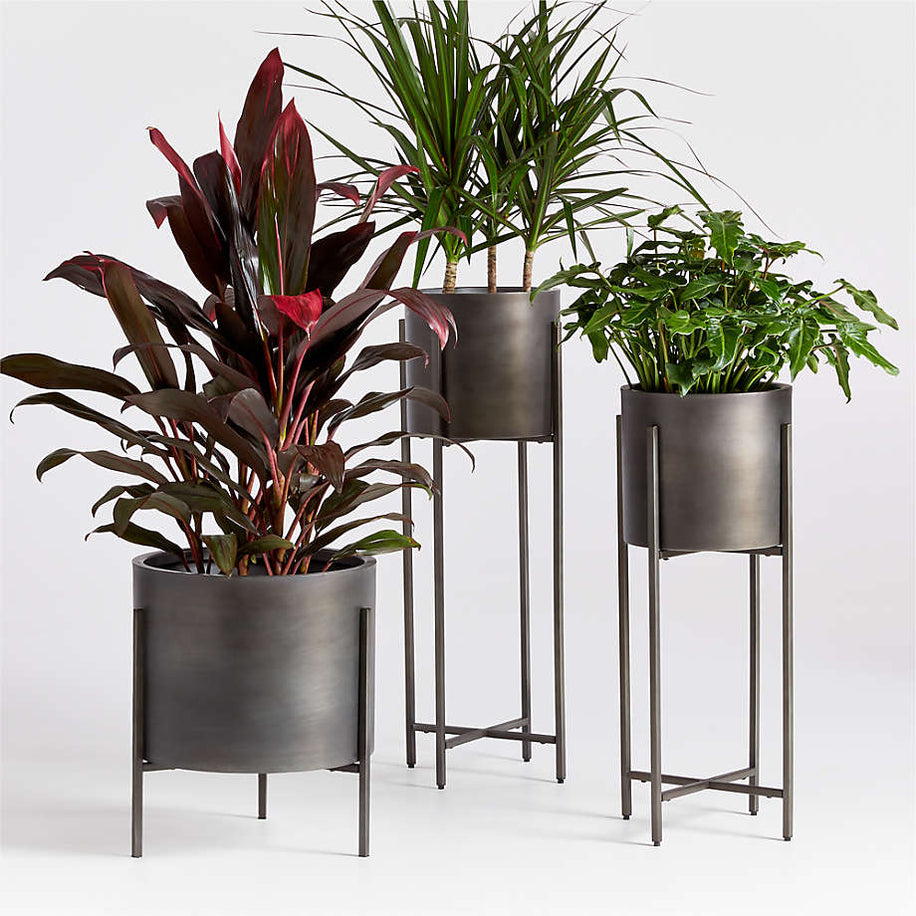 Botanicals & Planters